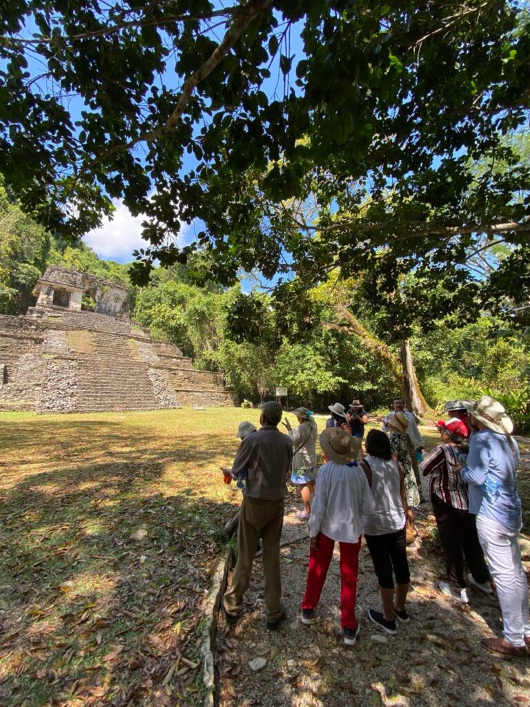 Palenque Revelado: Sitios Mayas, Misol-Ha y Cascadas de Agua Azul en un ...