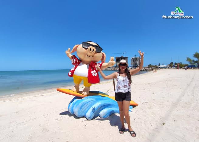 Playa de los Cerditos en Progreso: ¡Diversión y Ternura a la Orilla del ...